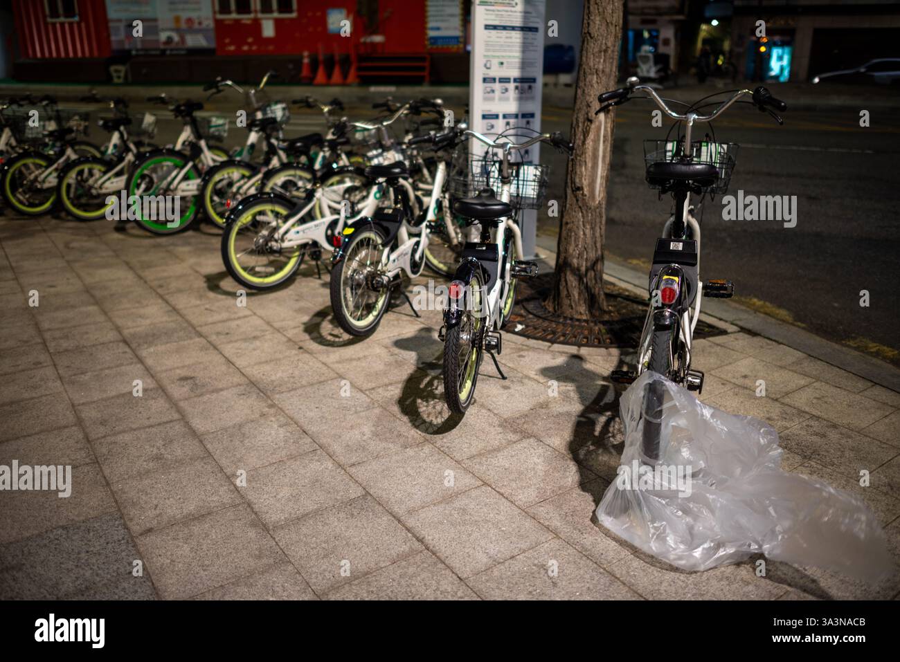 Seoul Public Bike, Ttareungyi, un-manned rental system of bicycles designed to resolve issues of ...