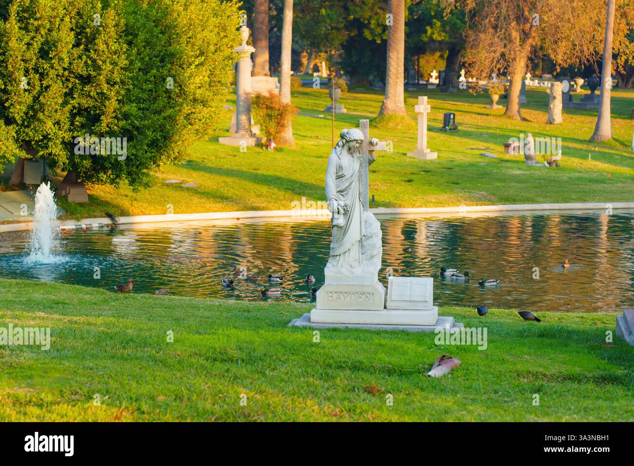 Los Angeles, California - January 10, 2025: Peaceful morning scene at ...
