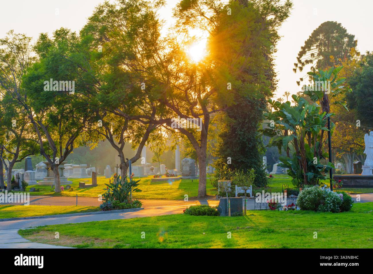 Los Angeles, California - January 10, 2025: Golden sunlight filters ...