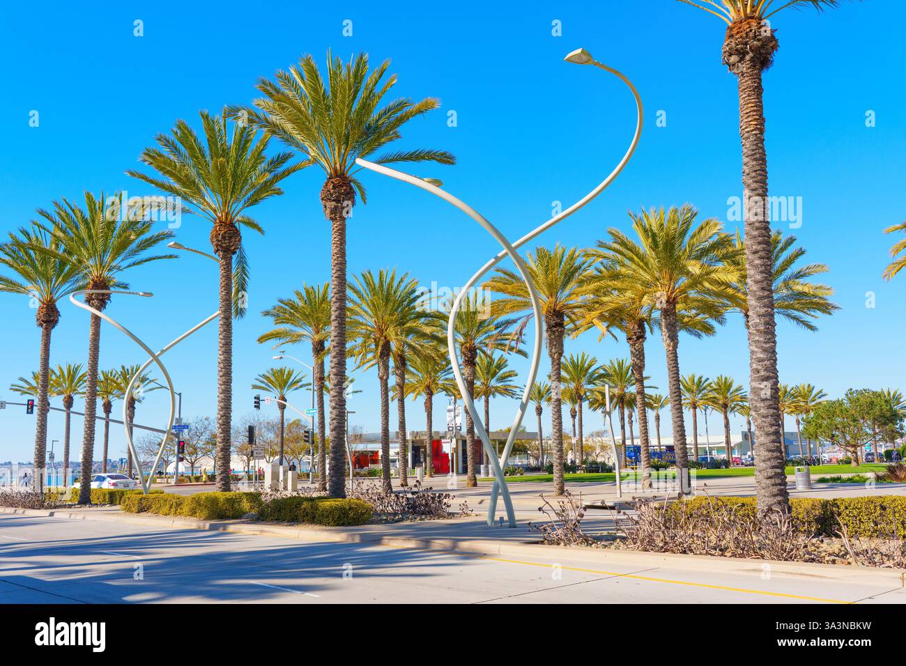 San Diego, California - January 14, 2025: Vibrant San Diego waterfront ...