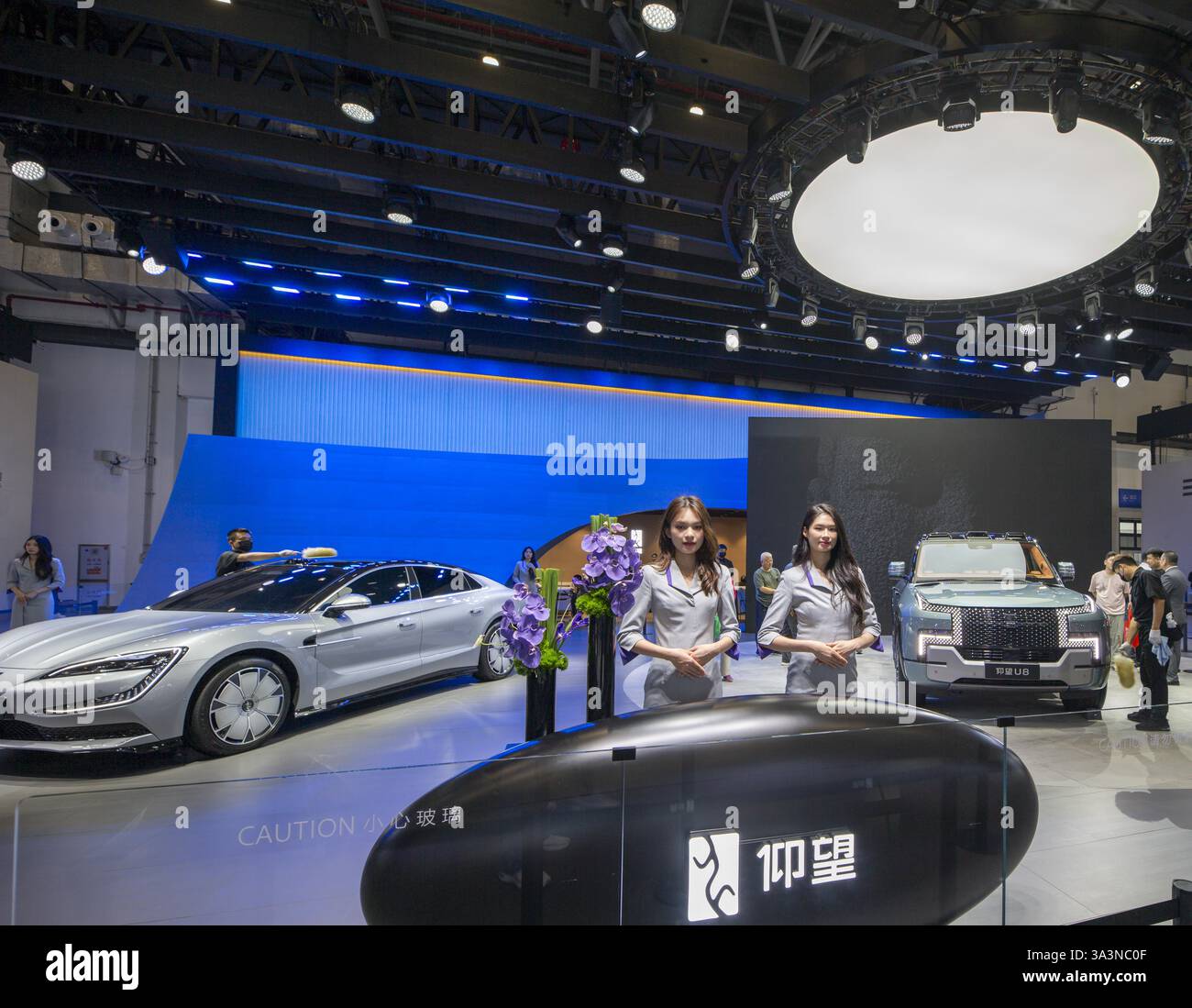 The 2025 Hainan International Automobile Exhibition & Haikou ...