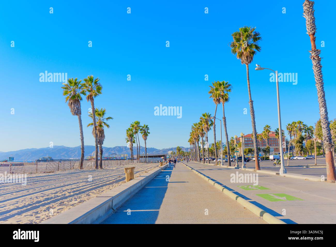 Venice Beach, California - January 16, 2025: Vibrant Venice Beach ...