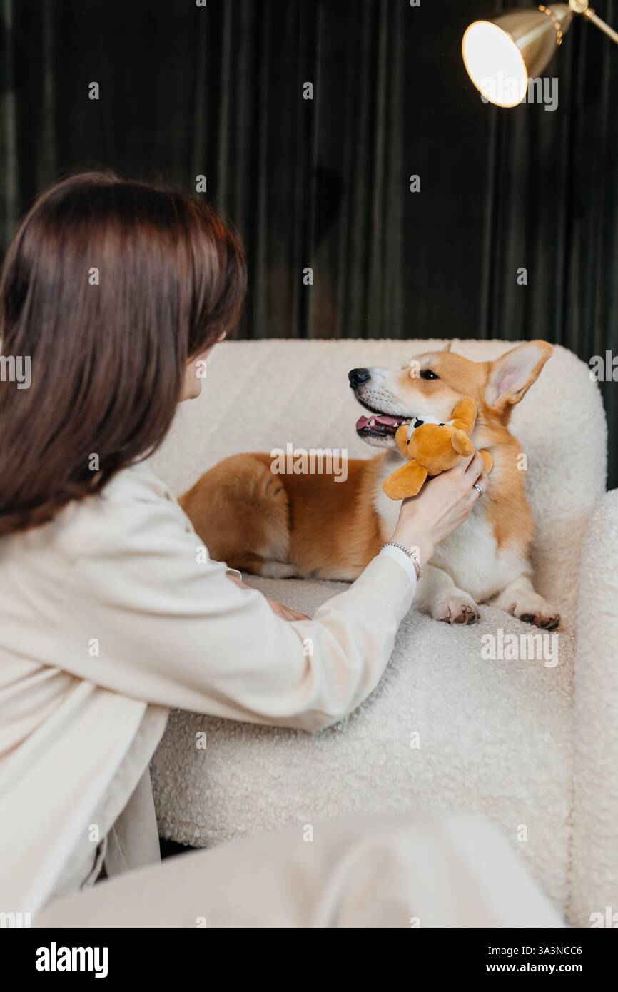 A cheerful corgi is happily enjoying playful moments and bonding with ...