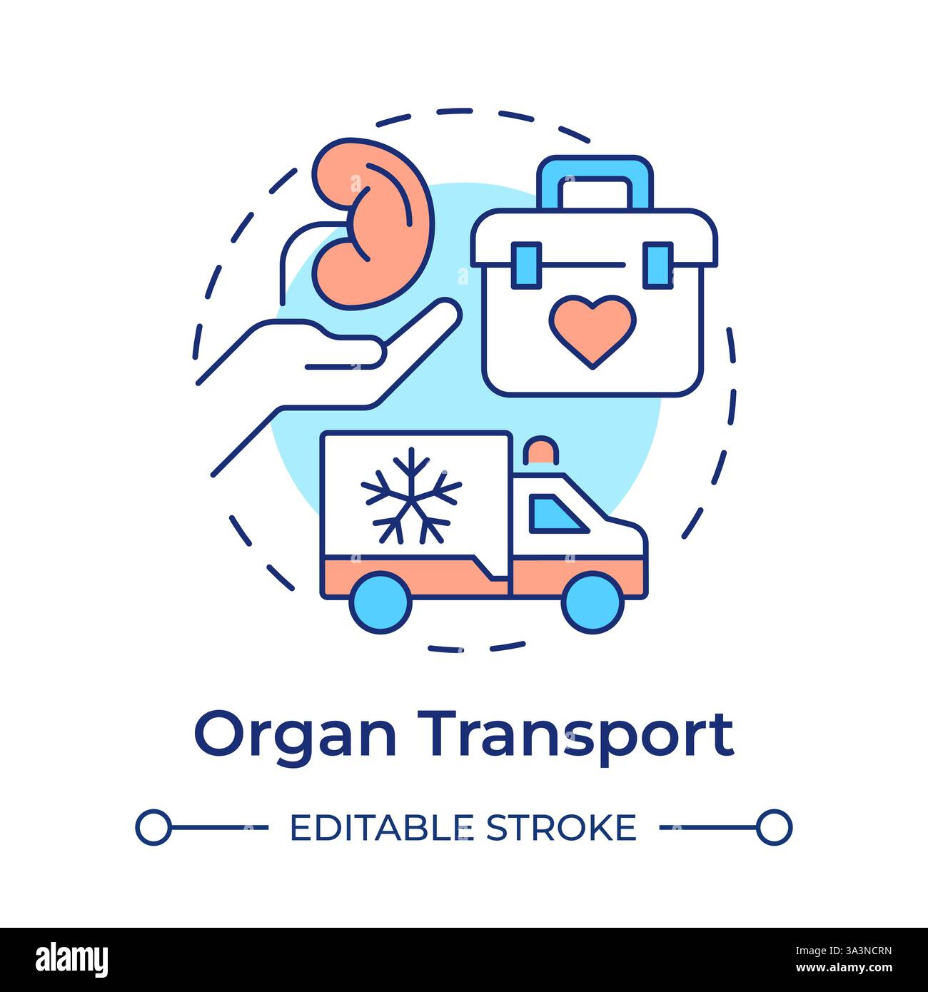 Donor organ transport hi-res stock photography and images - Alamy