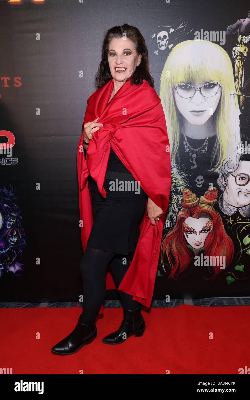 Burbank, California, USA. 15th March, 2025. Erika Schmidt attending Ve ...