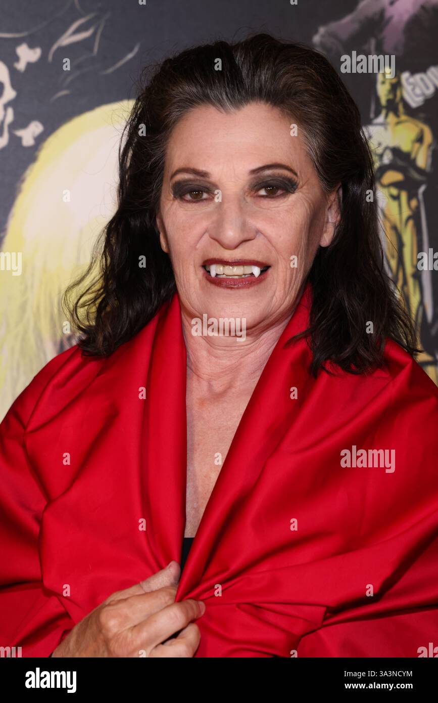 Burbank, California, USA. 15th March, 2025. Erika Schmidt attending Ve ...