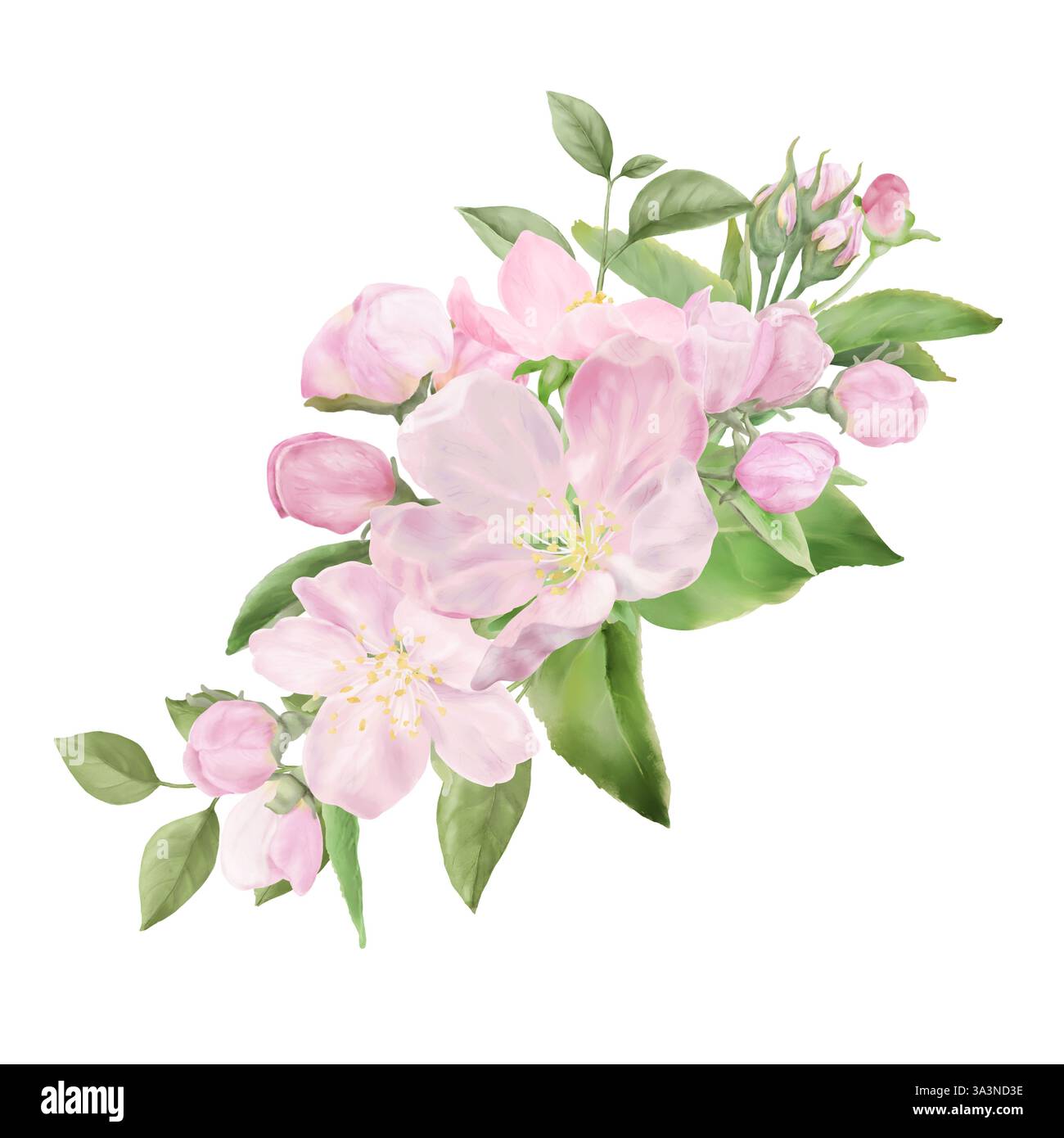 Bouquet of cherry blossoms with delicate buds and green leaves ...