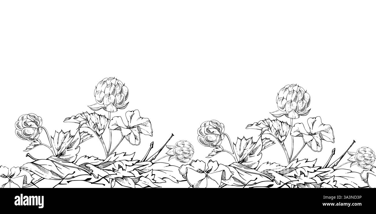 Raspberry clusters Black and White Stock Photos & Images - Alamy