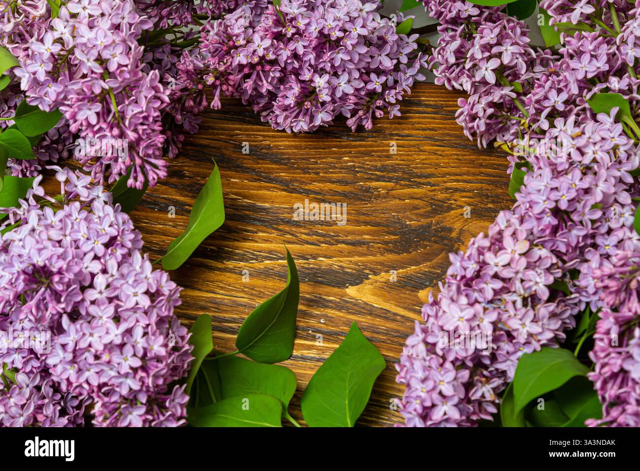 Beautiful spring flowers lilac on a wooden vintage board with place for ...