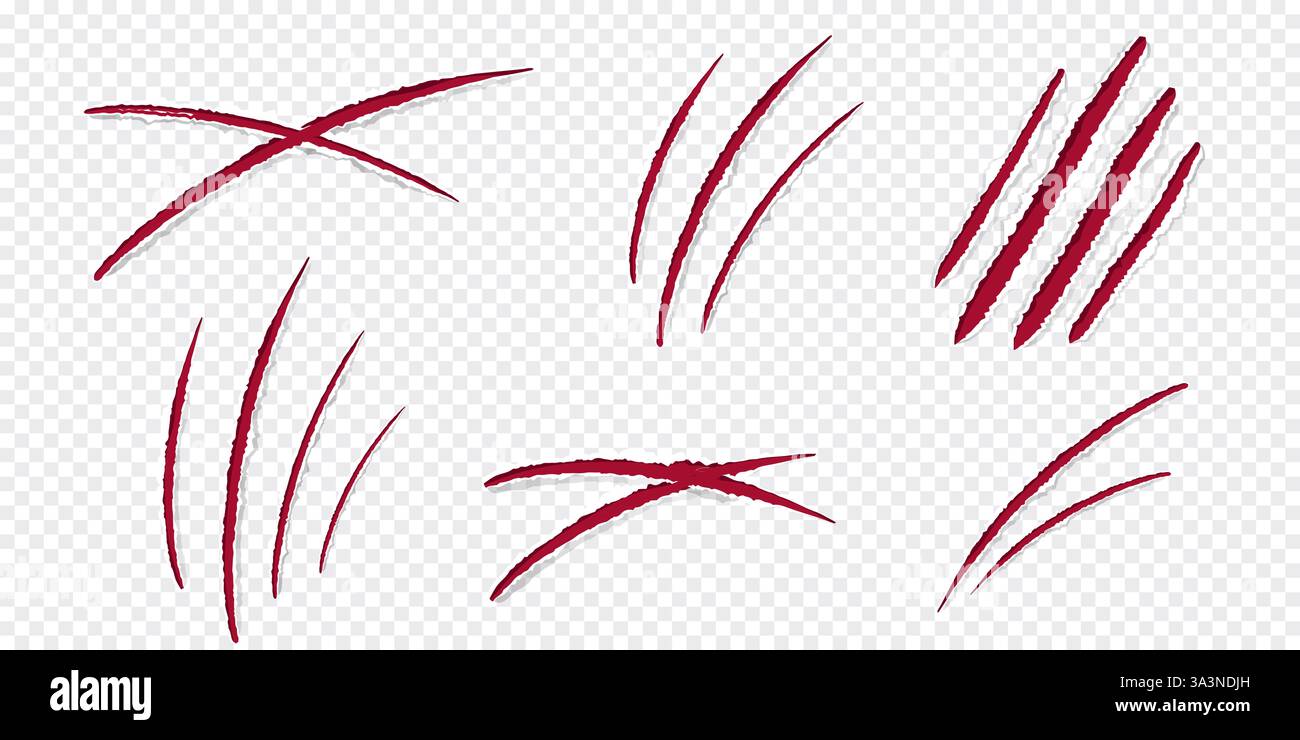 Claw marks scratches silhouette, cat or wild animal scrape track ...