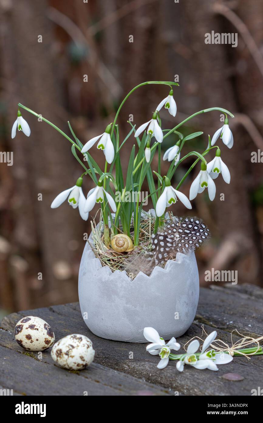 Pot in the shape of an easter egg hi-res stock photography and images ...