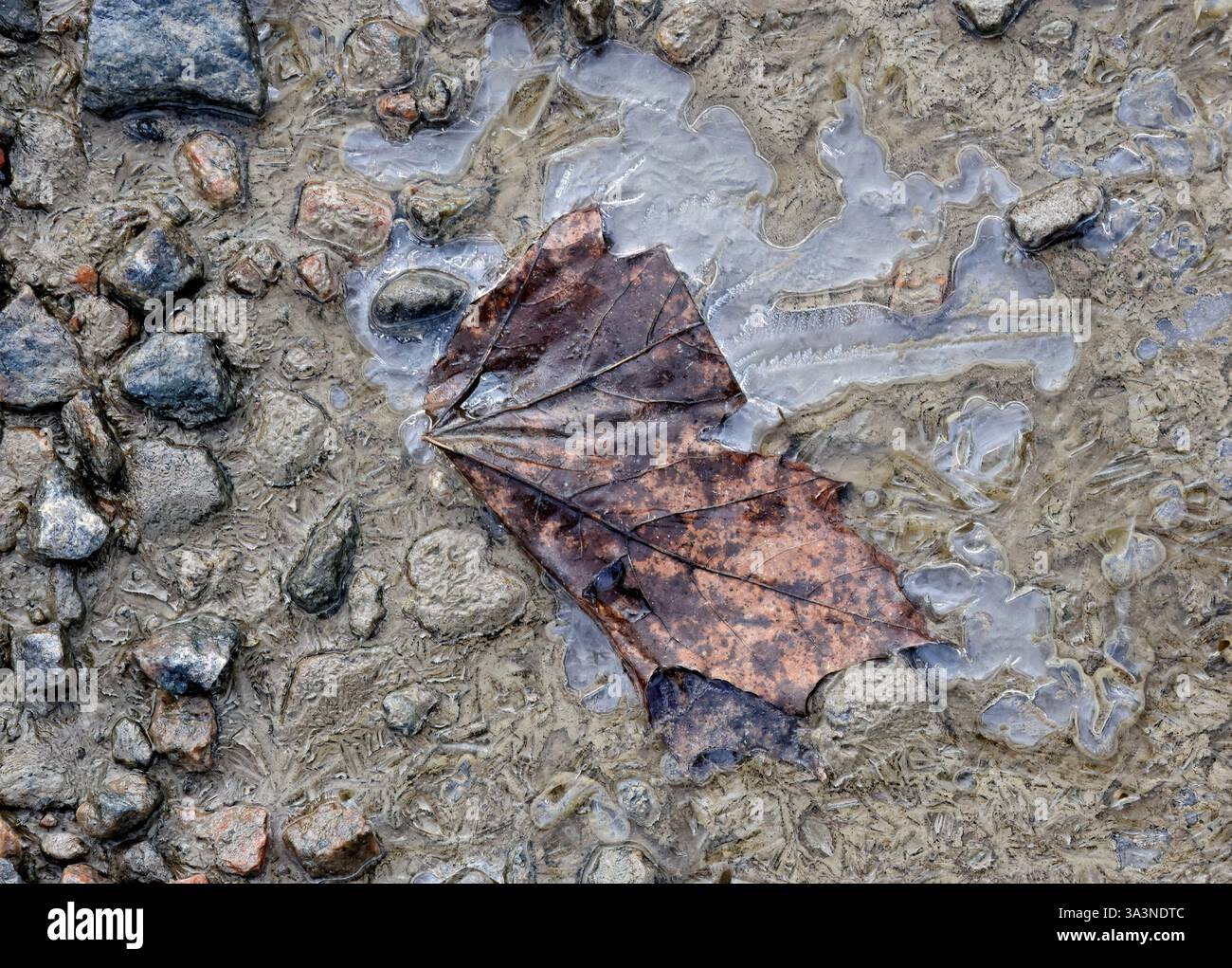 Textured brown ground hi-res stock photography and images - Alamy