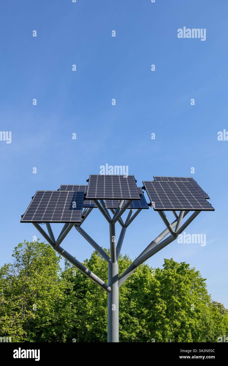 Solar panels above trees, photovoltaic modules, sustainable renewable ...