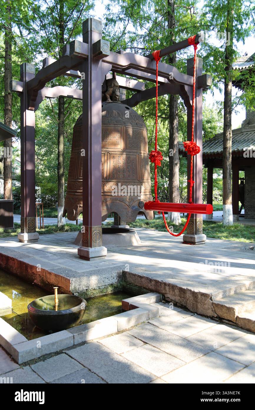 Tronco para impactar hi-res stock photography and images - Alamy