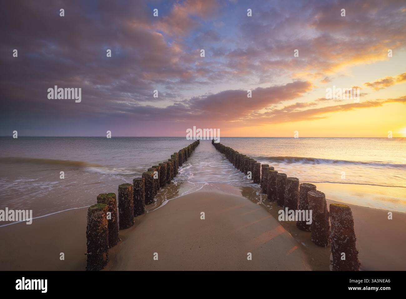 A spectacular summer sunset path the beach at Zoutelande in Zeeland ...