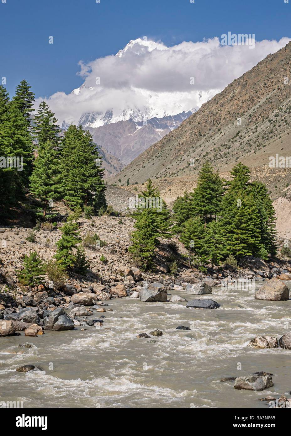 Vertical landscape view of Tarishing valley and Nanga Parbat Rakhiot ...