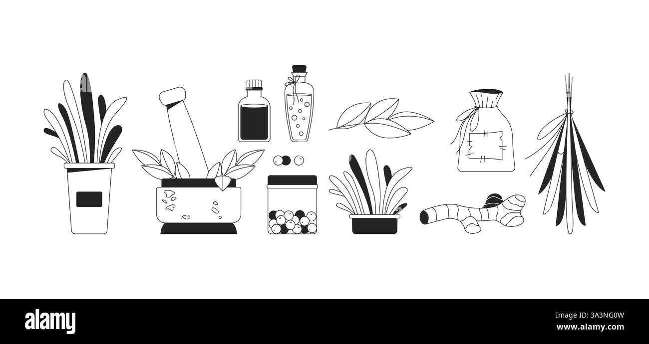 Herbal medicine and natural remedies 2D line objects set Stock Vector ...