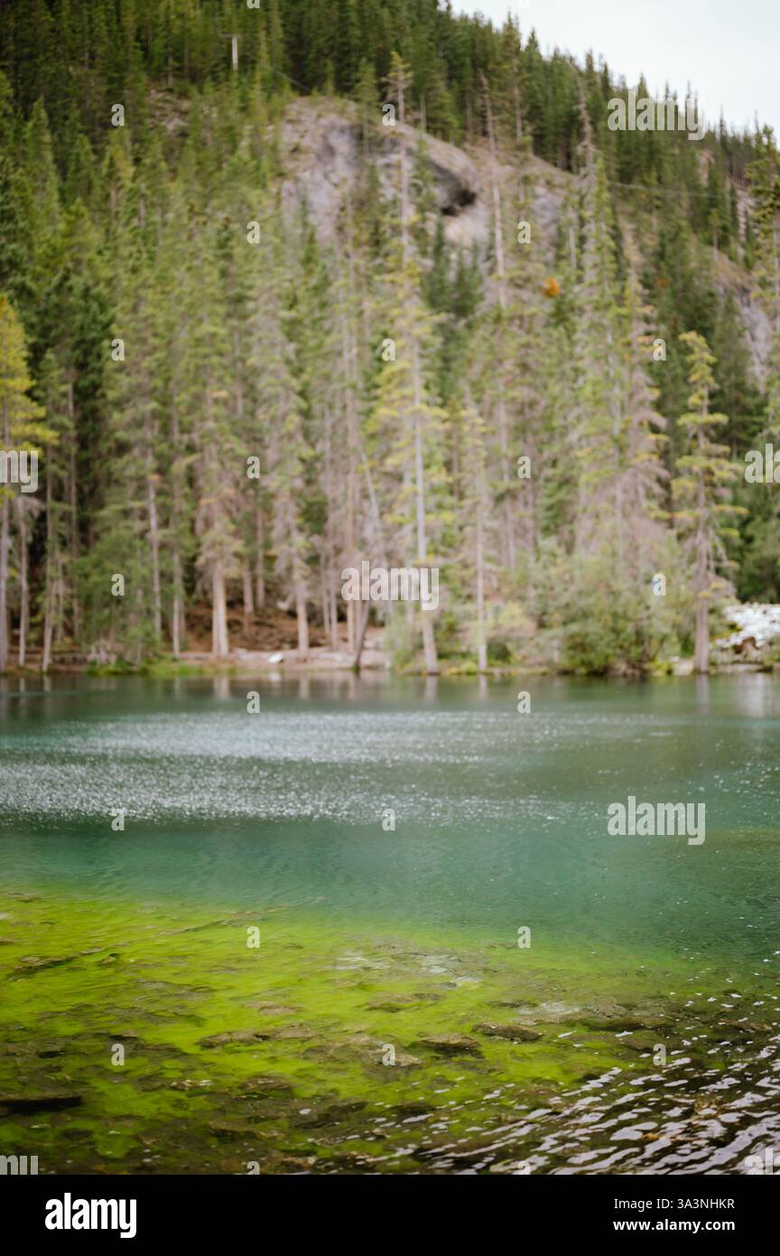 Turquoise lake at Grassi Lakes trailhead in Canmore, Alberta Stock ...