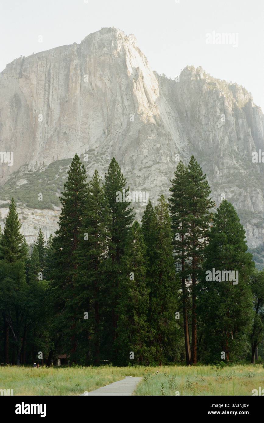 Iconic pathway hi-res stock photography and images - Alamy