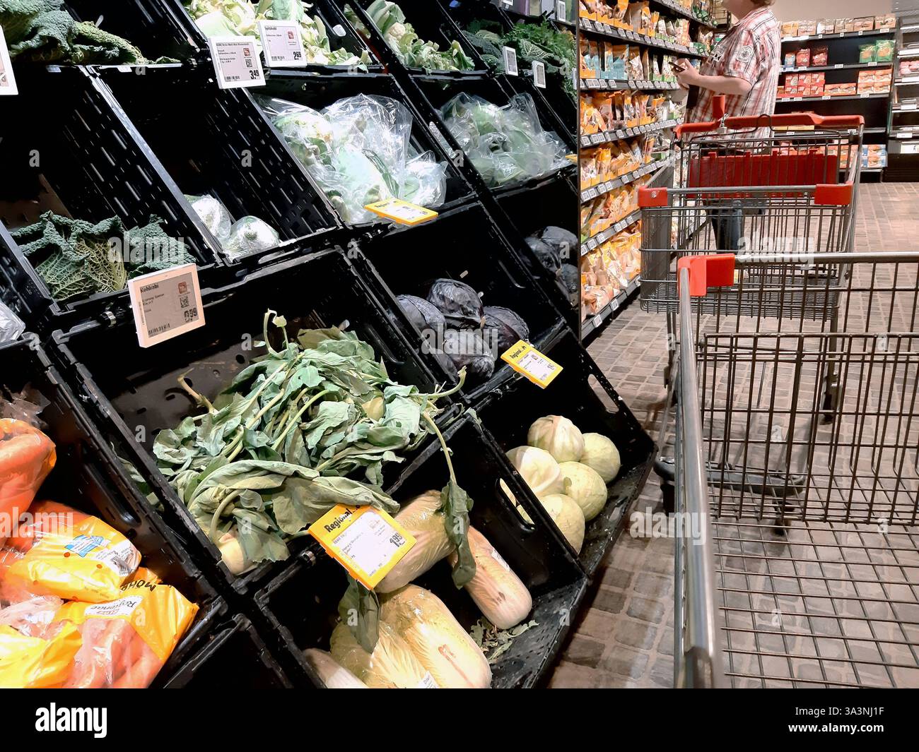 REWE-Einkauf zu Zeiten von Inflation. REWE-Einkauf in einem Supermarkt ...