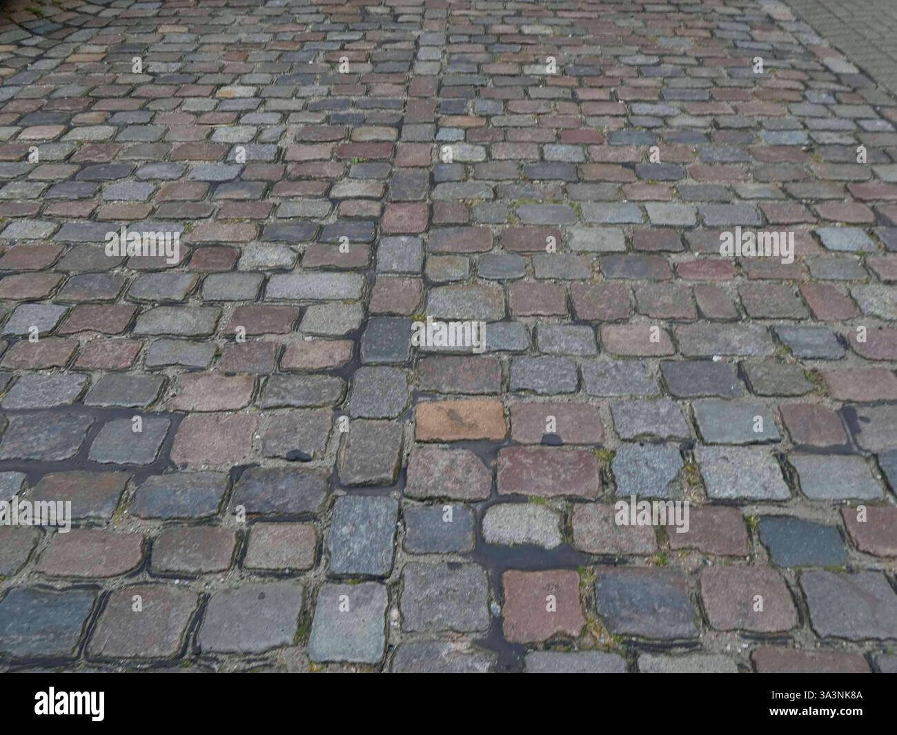 Natur Granit Pflastersteine auf der Strasse in Reihe Reihenpflaster Grosspflaster verlegt Fugen ...