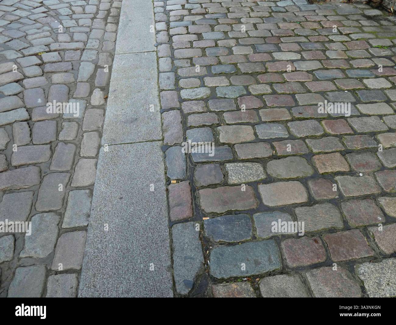 Bordstein Hochbord Naturstein Hamburger Kante 36/40/25 cm zwischen ...
