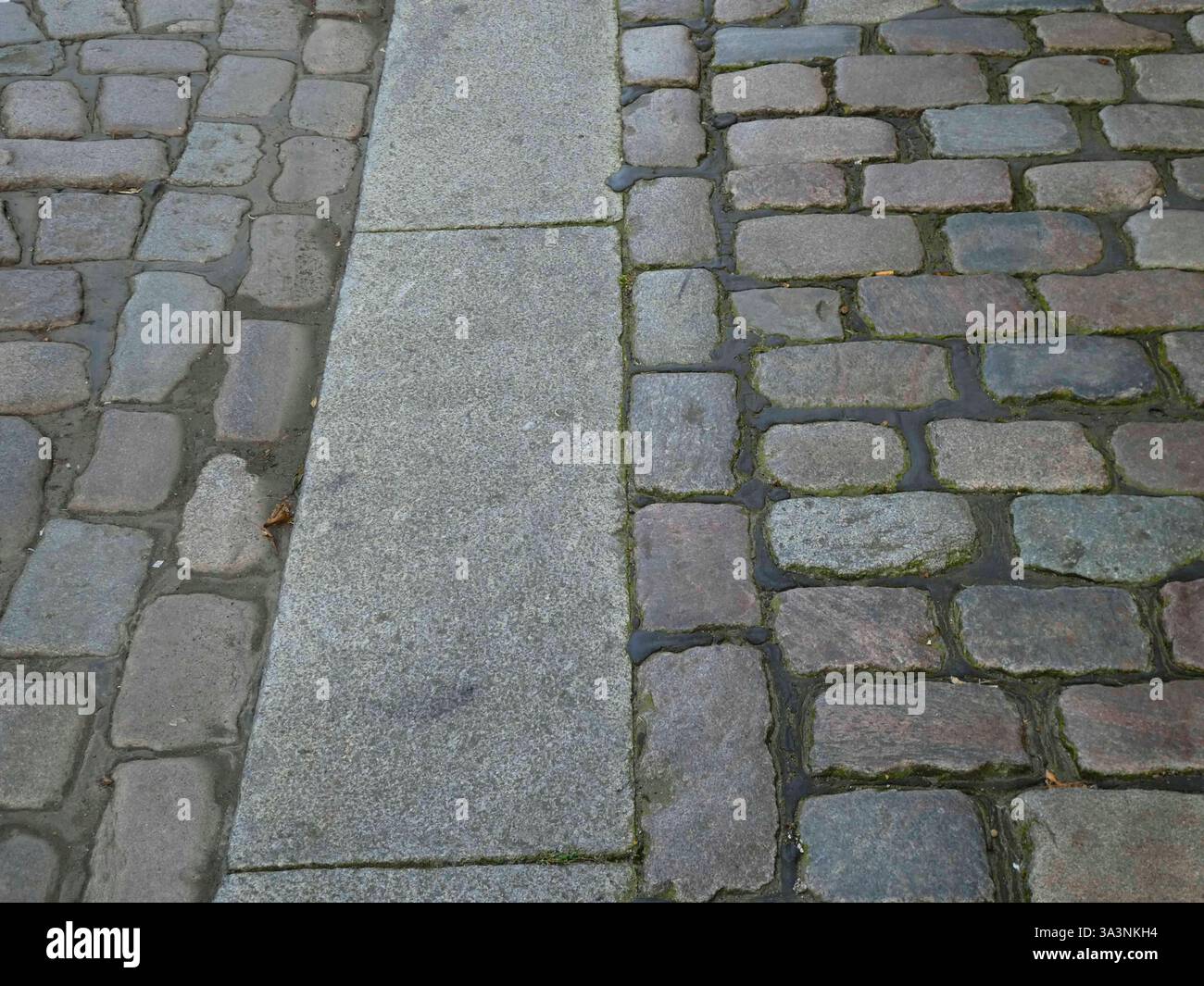 Bordstein Hochbord Naturstein Hamburger Kante 36/40/25 cm zwischen ...