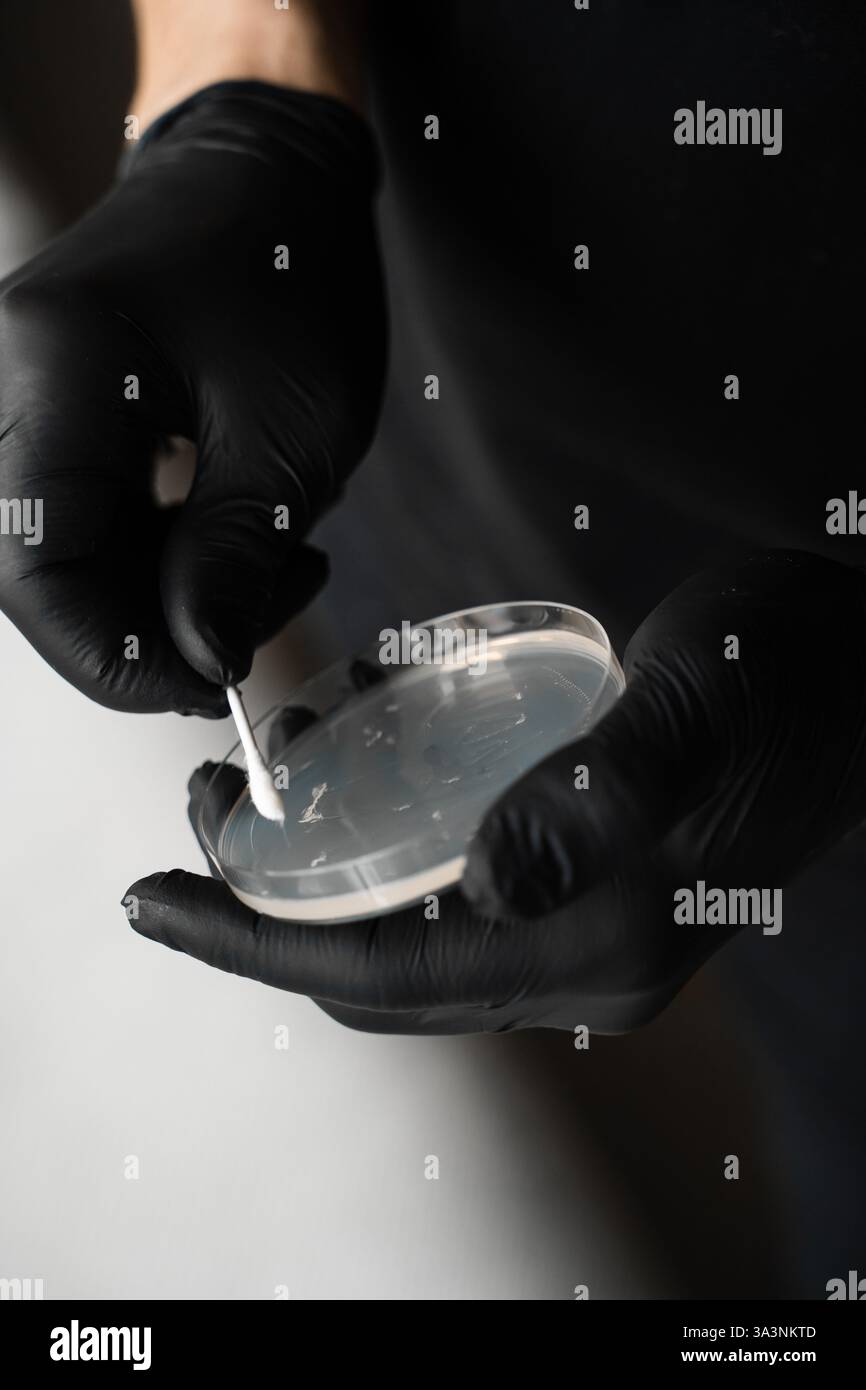 Using cell-culture dish, Q-tip and gloves for a chemistry experiment ...