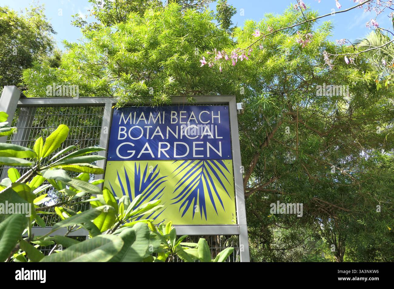 Miami Beach, USA - November 14, 2024: Miami Beach botanical garden ...