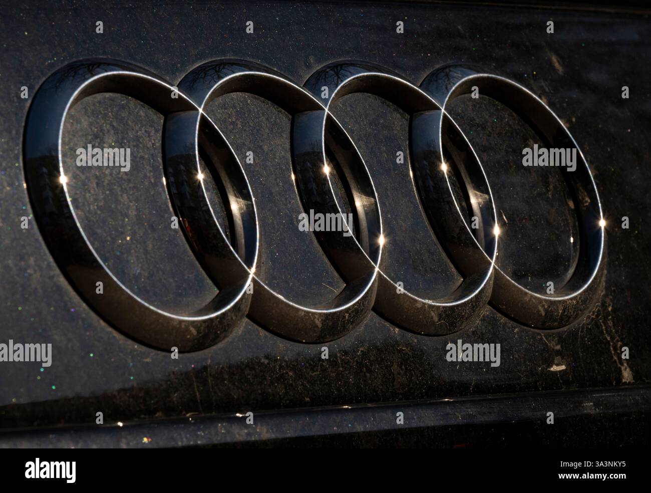 Munich, Germany. 17th Mar, 2025. Four rings, the logo of the Audi car ...