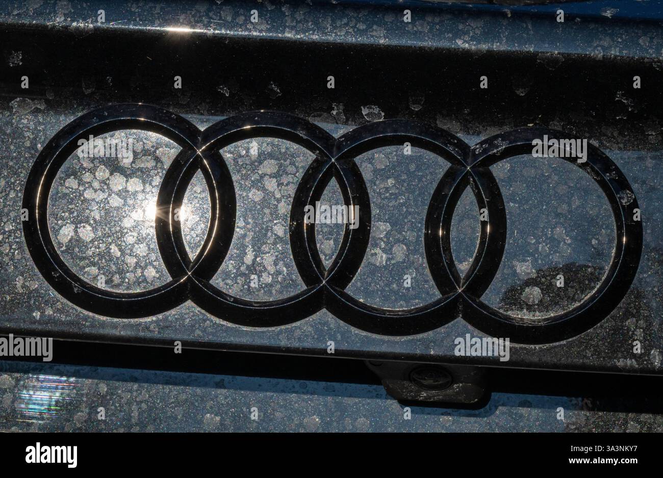 Munich, Germany. 17th Mar, 2025. Four rings, the logo of the Audi car ...