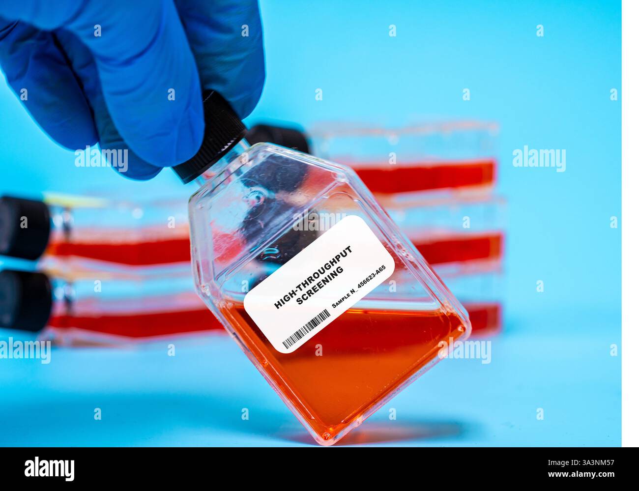 High Throughput Screening Automated Testing Of Thousands Of Compounds