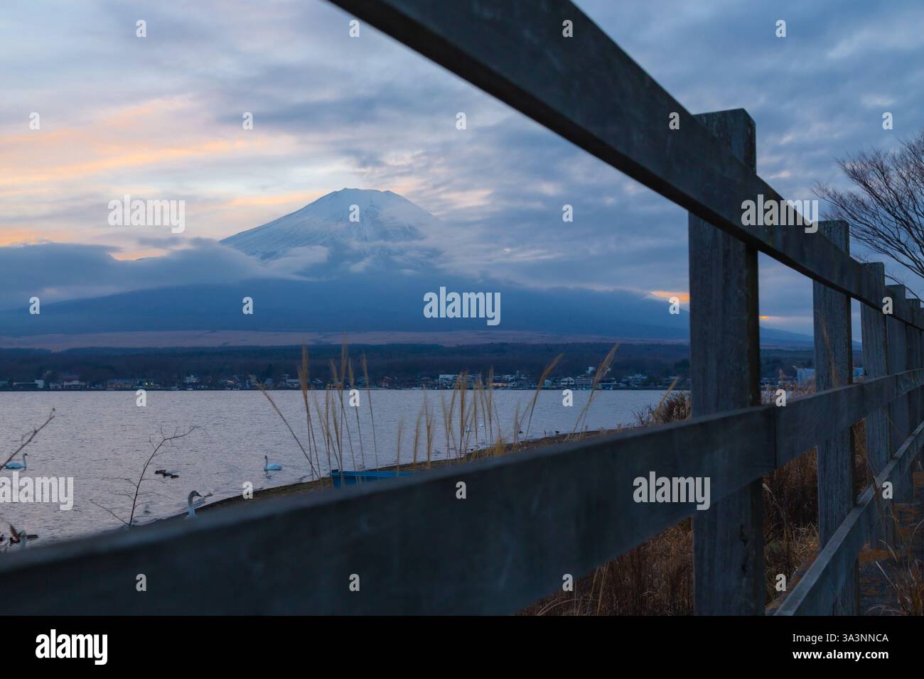 Lake Yamanaka, Yamanashi Prefecture is the largest of the five lakes ...
