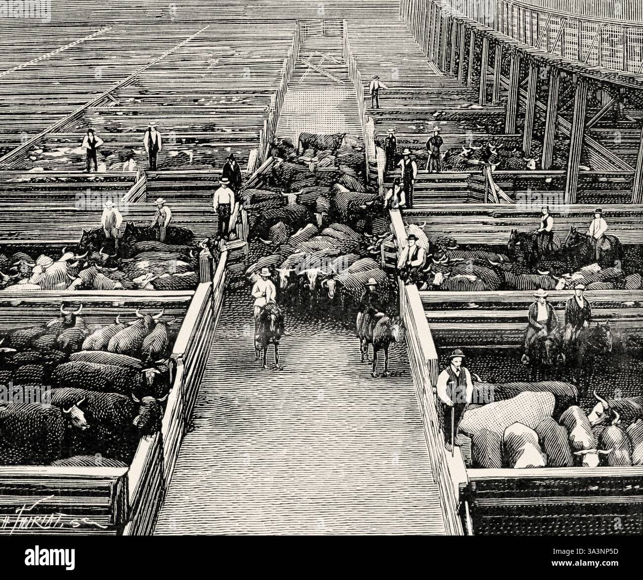 Animals inside Hurford Hog Hoist Slaughterhouse Chicago. USA. Old 19th ...