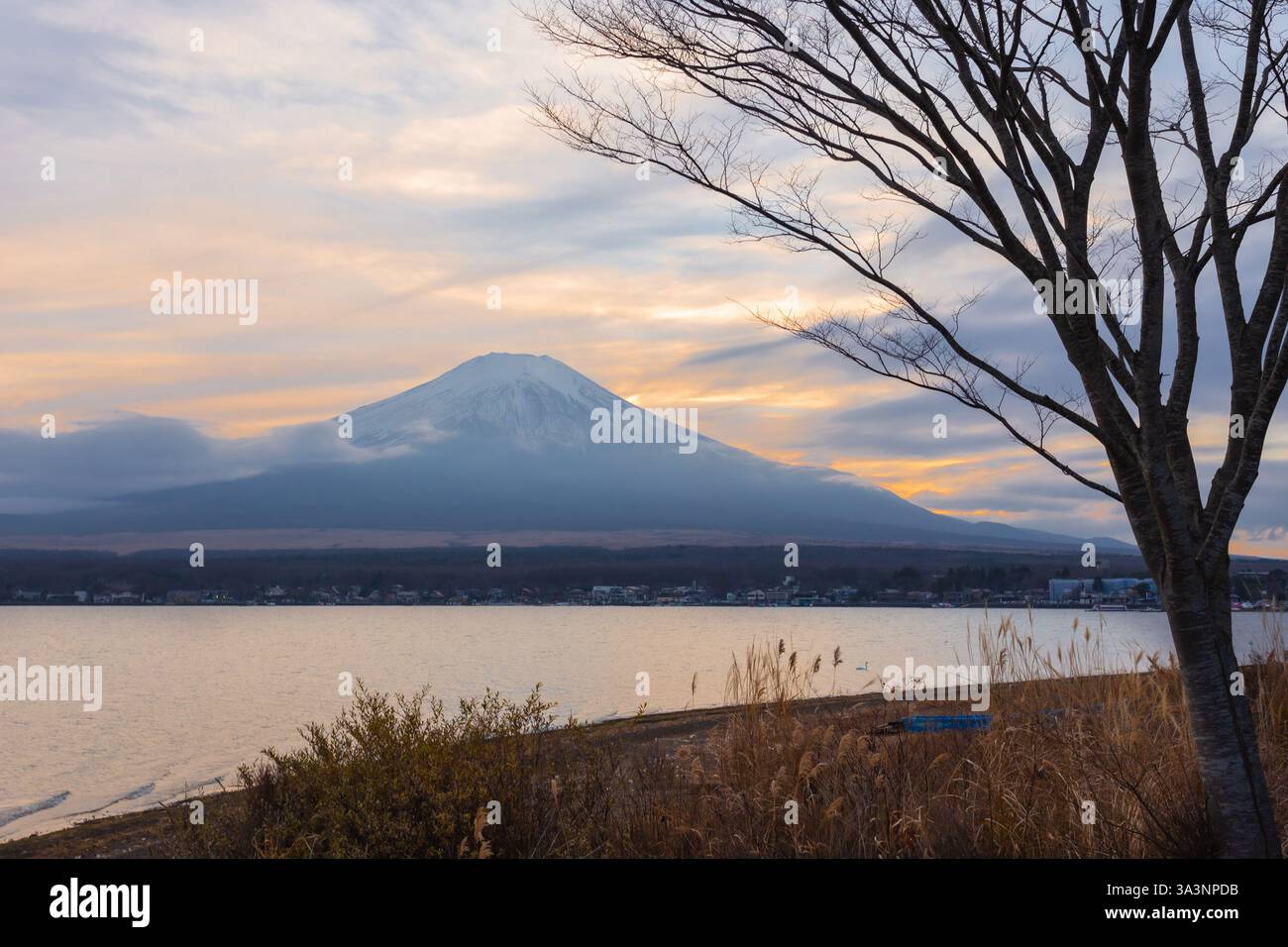 Lake Yamanaka, Yamanashi Prefecture is the largest of the five lakes ...