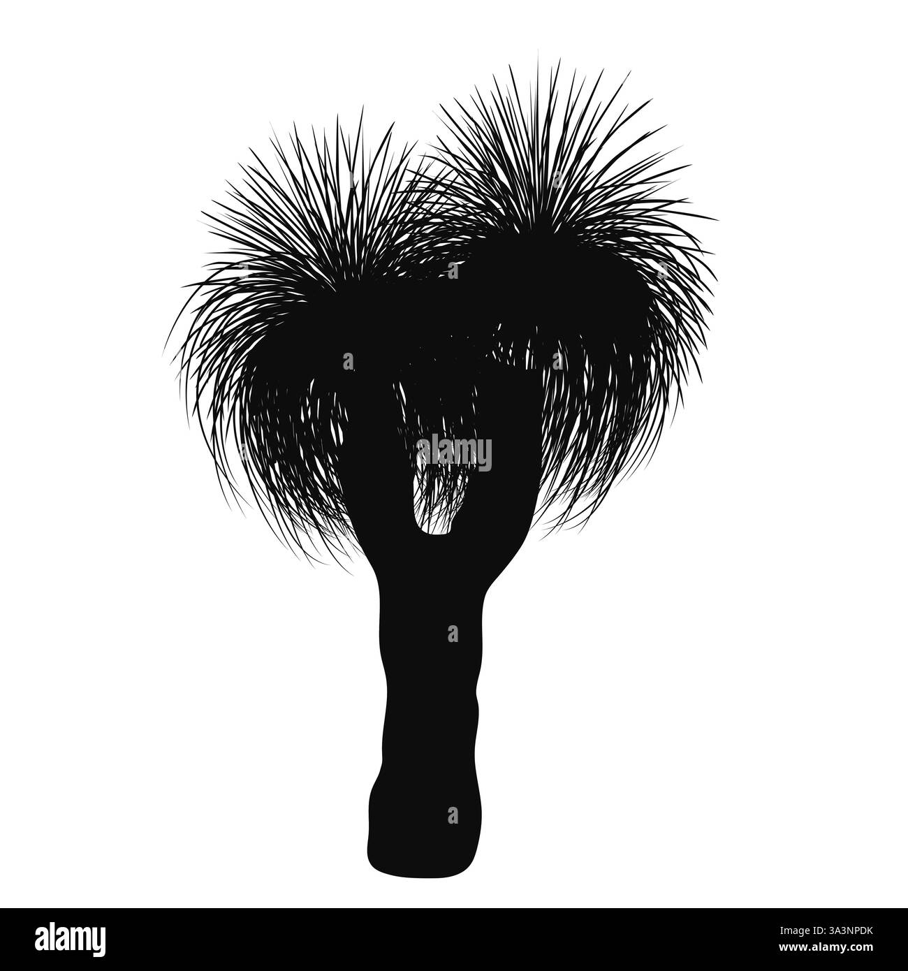 Xanthorrhoea tree vector outline silhouette isolated illustration. The ...