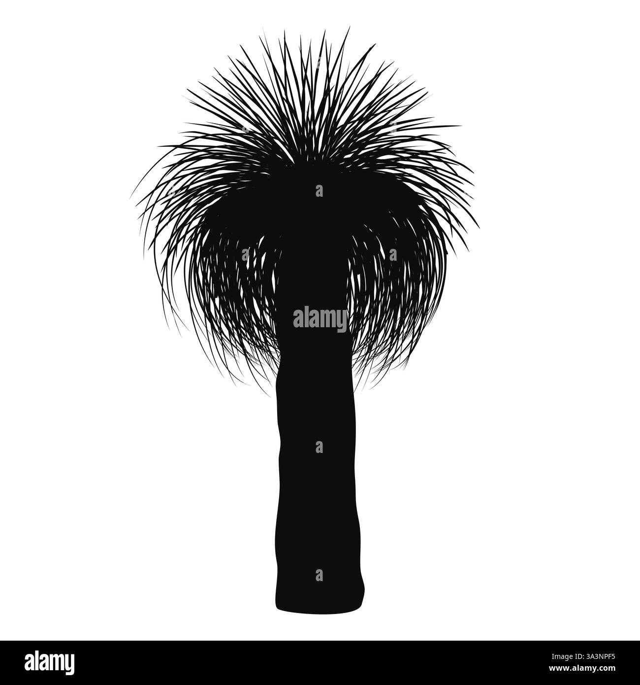Xanthorrhoea tree vector outline silhouette isolated illustration. The ...