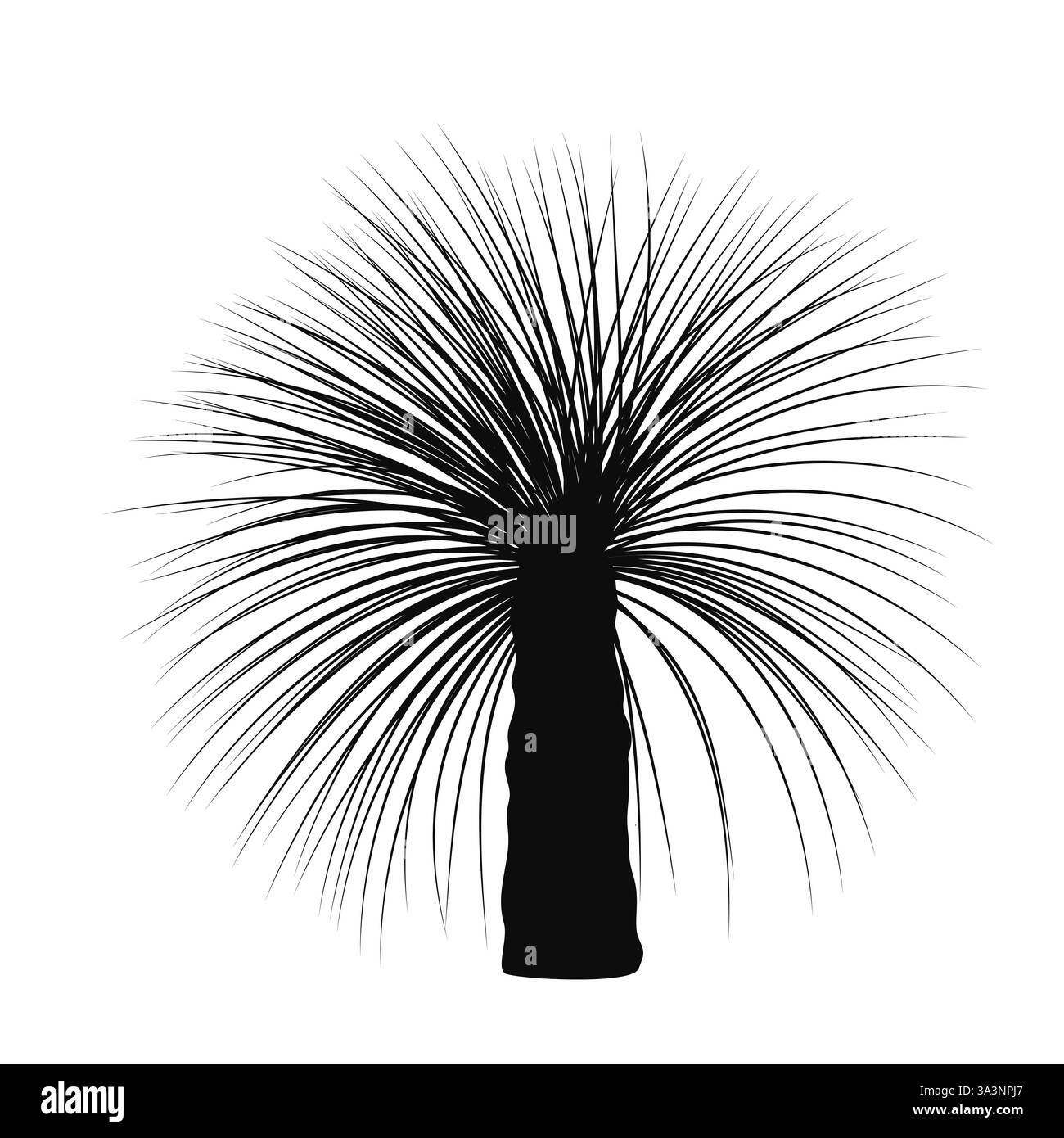 Xanthorrhoea tree vector outline silhouette isolated illustration. The ...