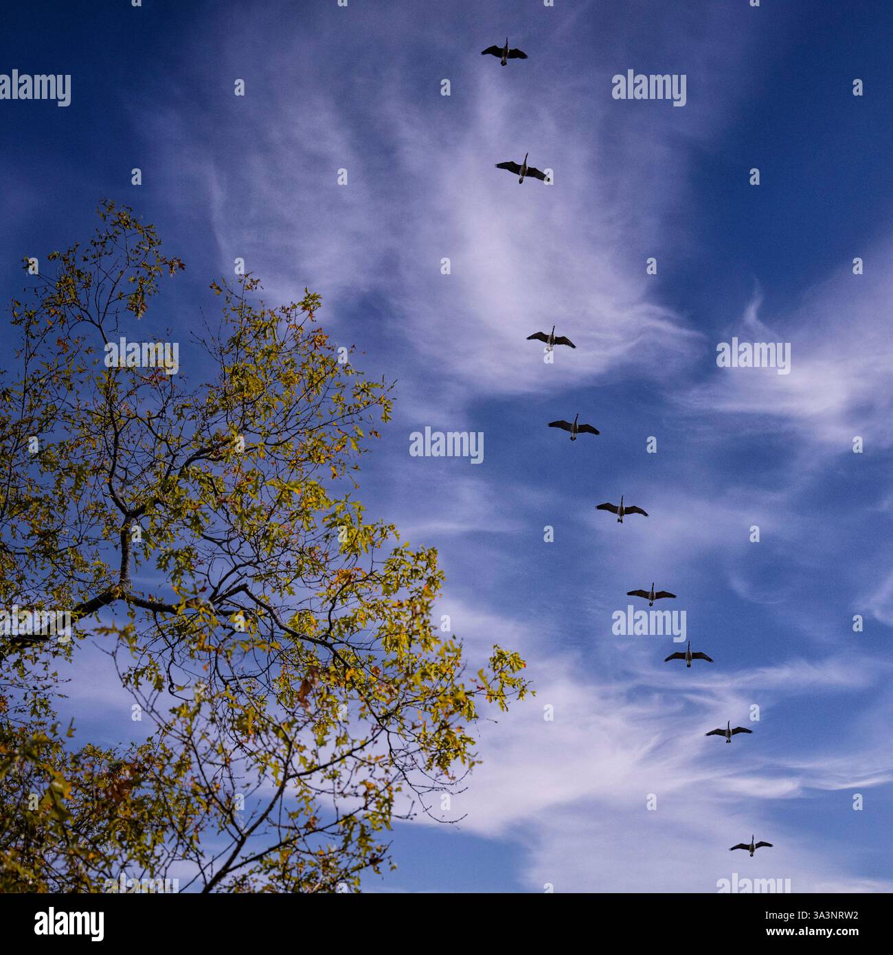 Canadian juxtaposition hi-res stock photography and images - Alamy