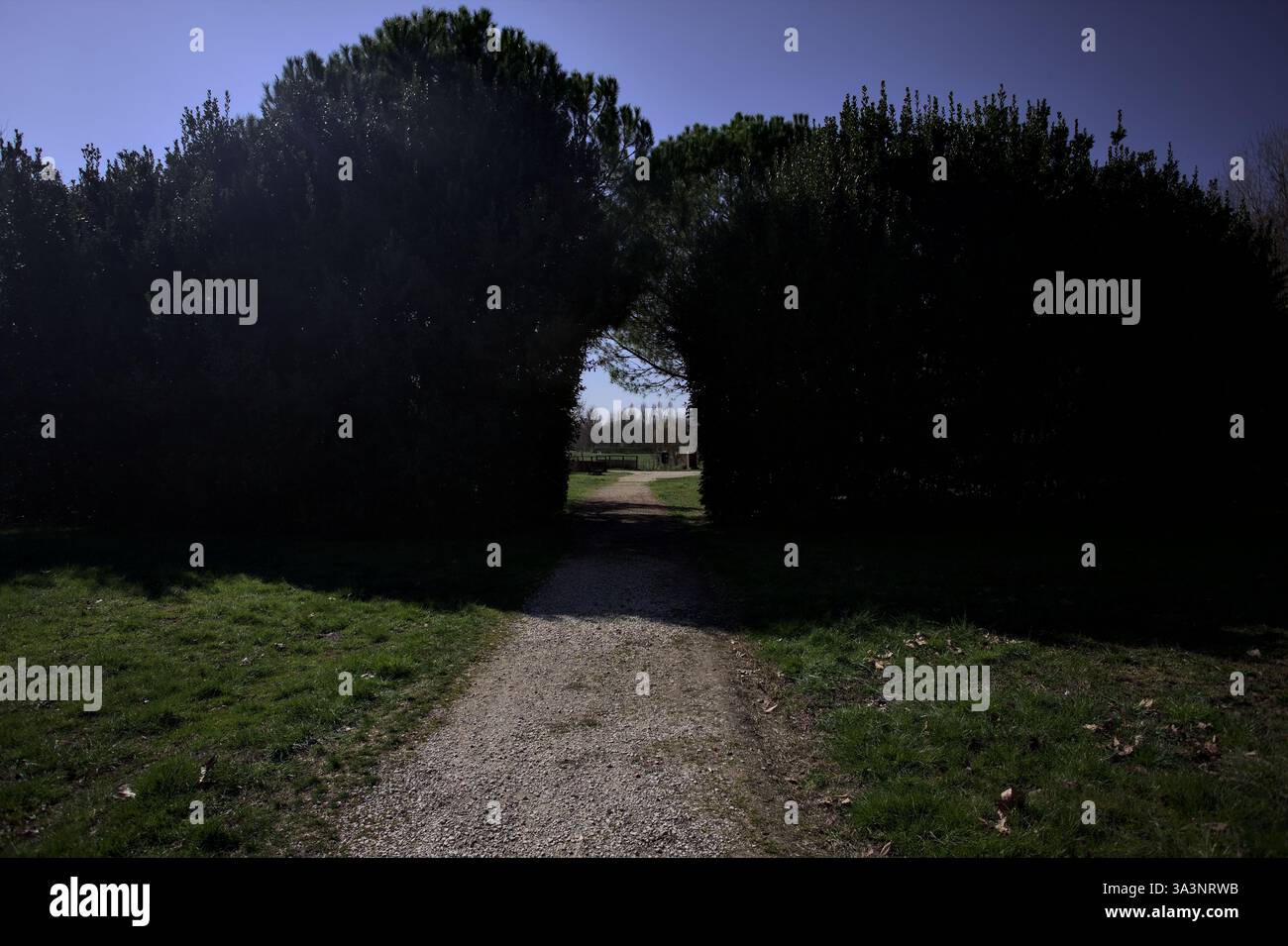 Opening in hedge hi-res stock photography and images - Alamy