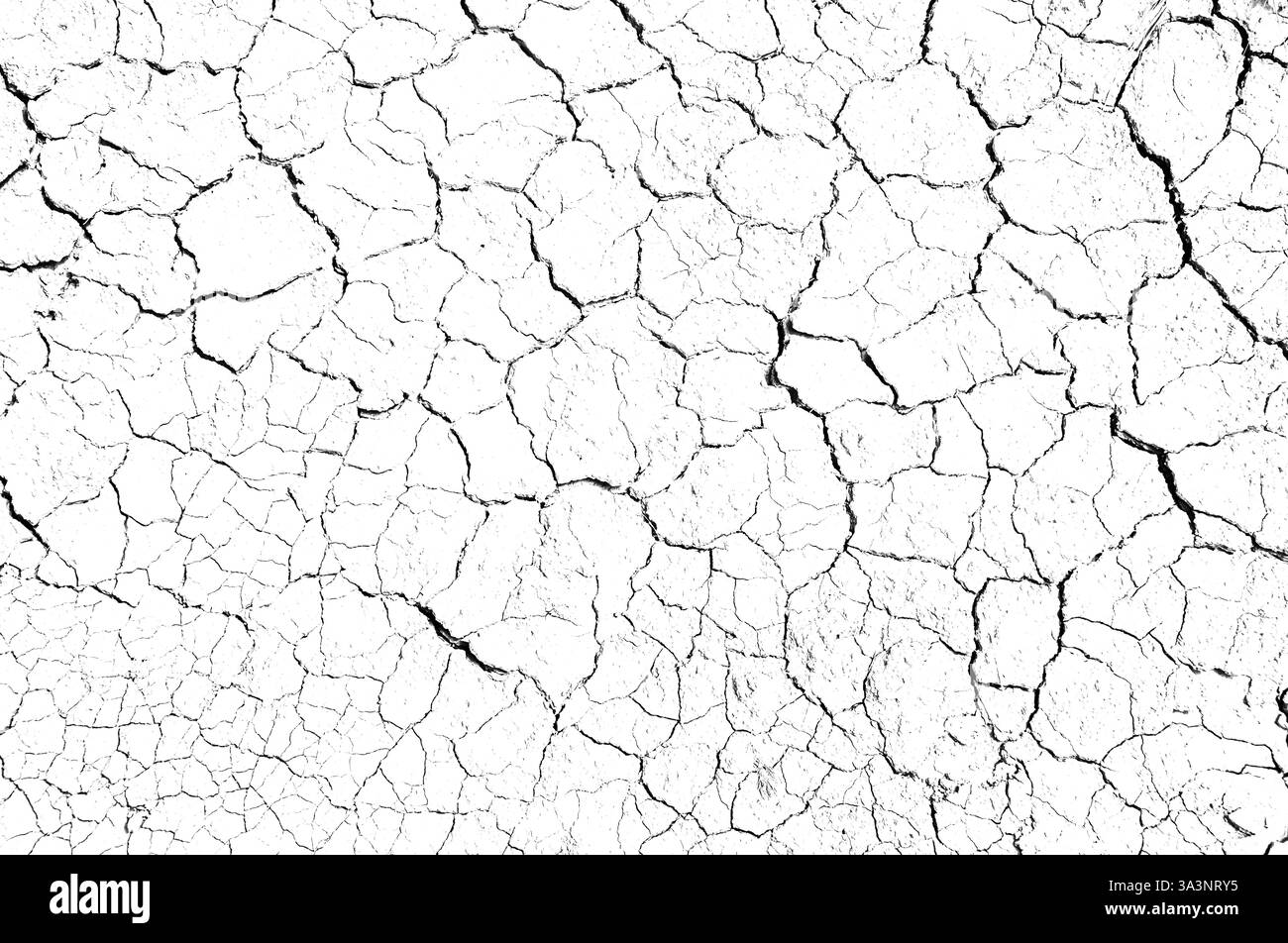 Dried and cracked earth ground background, arid desert white texture ...