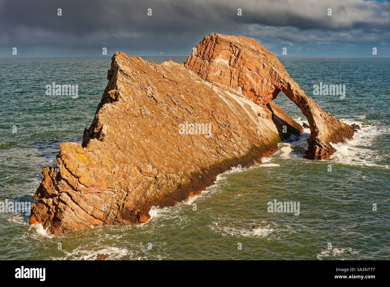 Bow Fiddle Rock Portknockie Moray Scotland early morning sunshine on ...