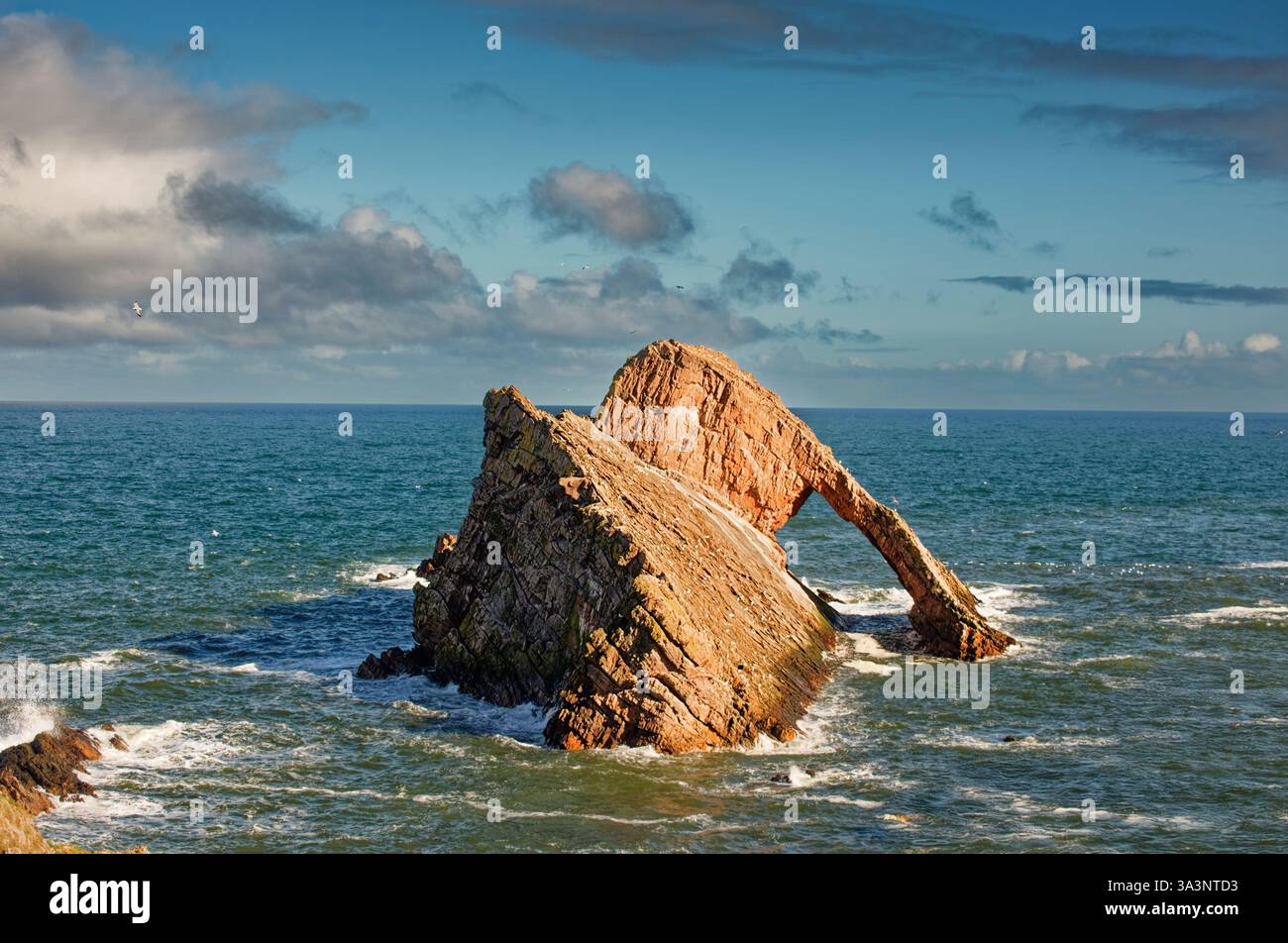 Bow Fiddle Rock Portknockie Moray Scotland morning sunshine on the ...