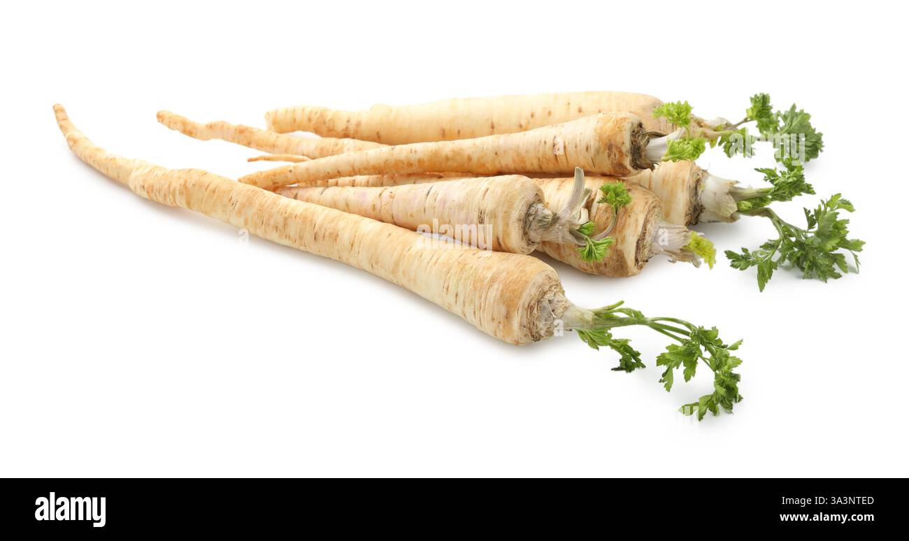 Many fresh parsley roots isolated on white Stock Photo - Alamy