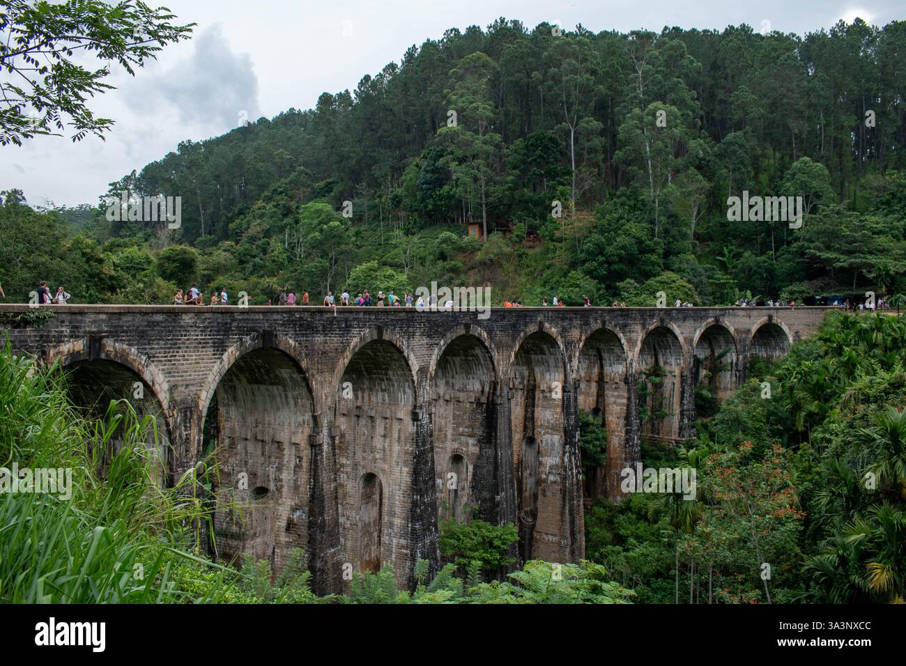 The iconic Nine Arches Bridge (Demodara Bridge) surrounded by lush ...