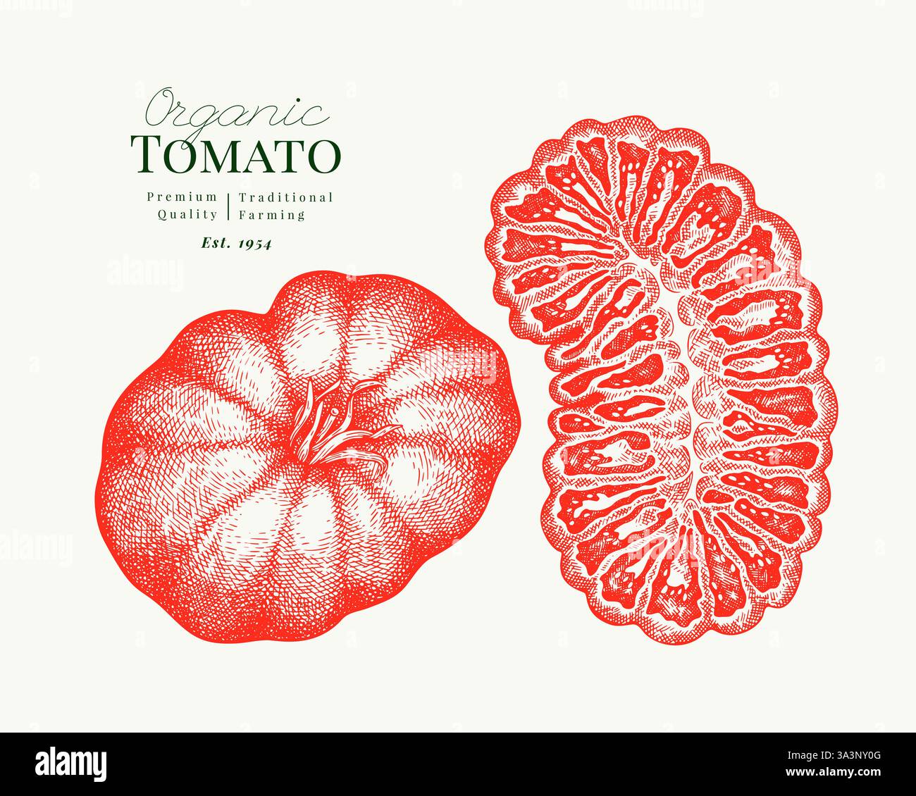Hand Drawn Tomato Illustration. Retro Vegetable Vector Isolated Image ...