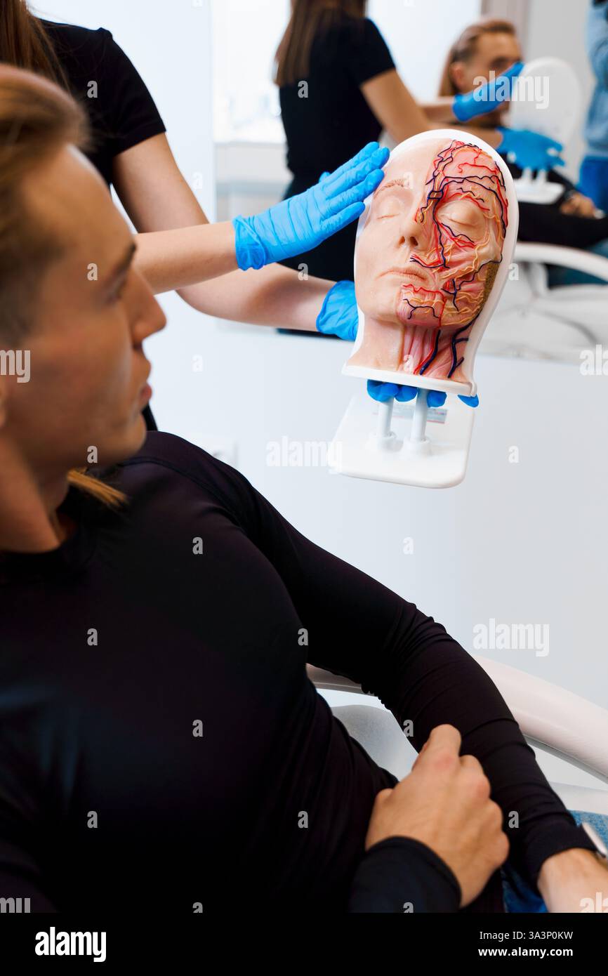 Showing man a mannequin of human head with facial blood supply ...