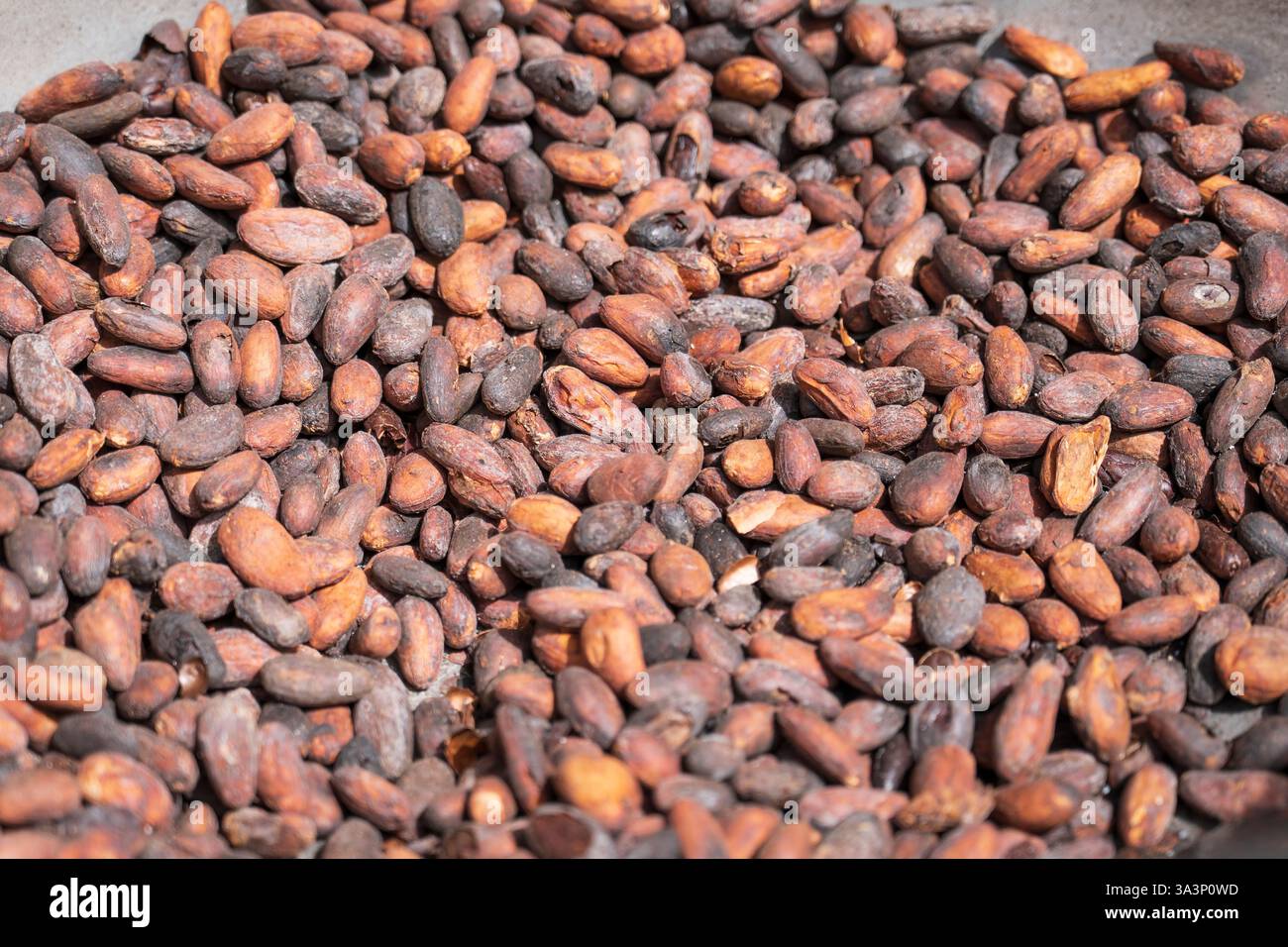 Roasted Cocoa Beans Drink – Does Brewed Cacao Have Benefits? – NRTC