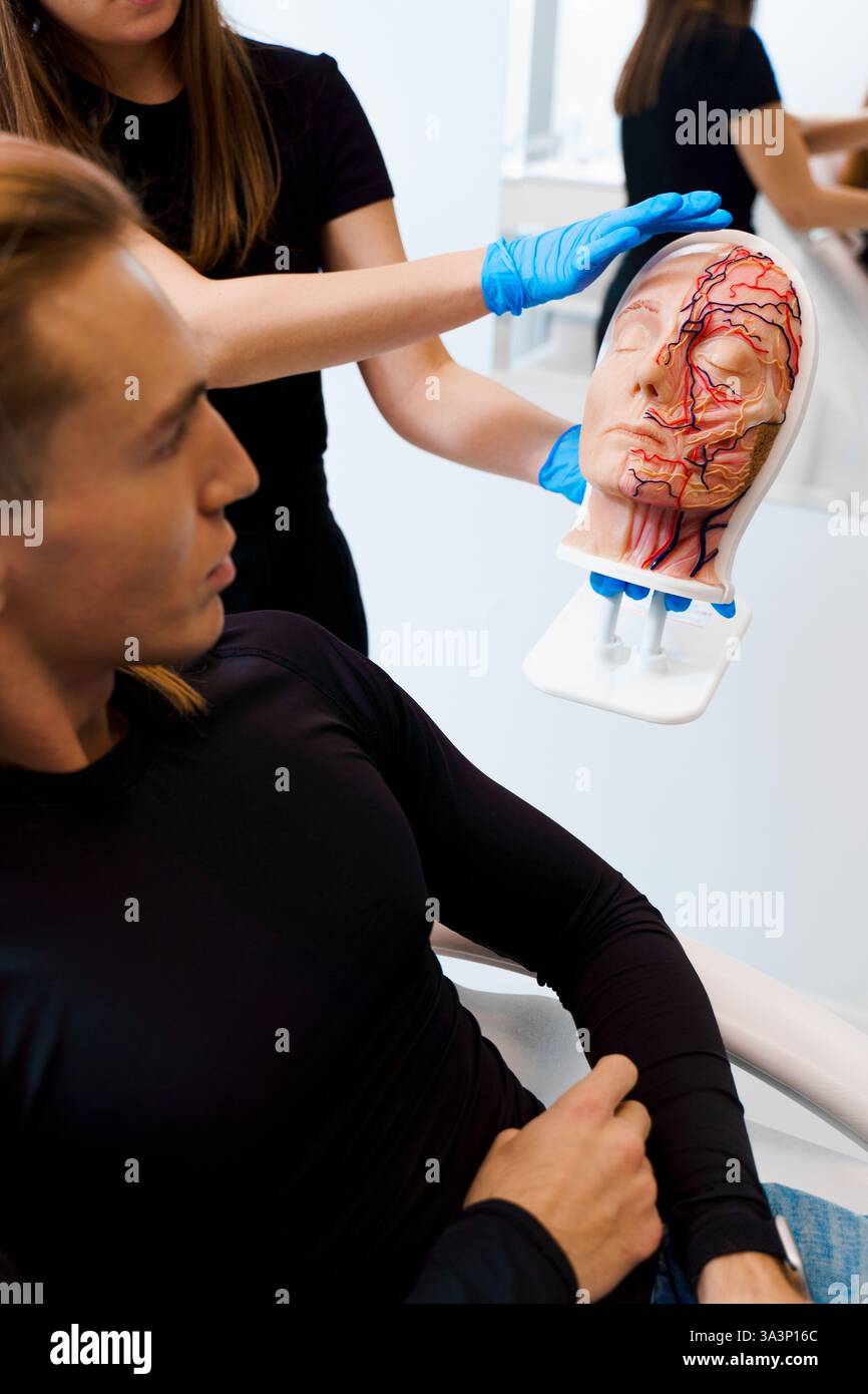 Showing man a mannequin of human head with facial blood supply ...