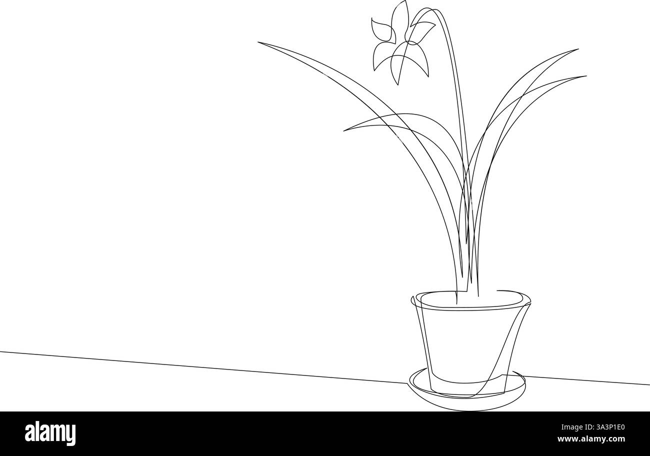 Continuous one line drawing of lily flower in a pot. Vector ...